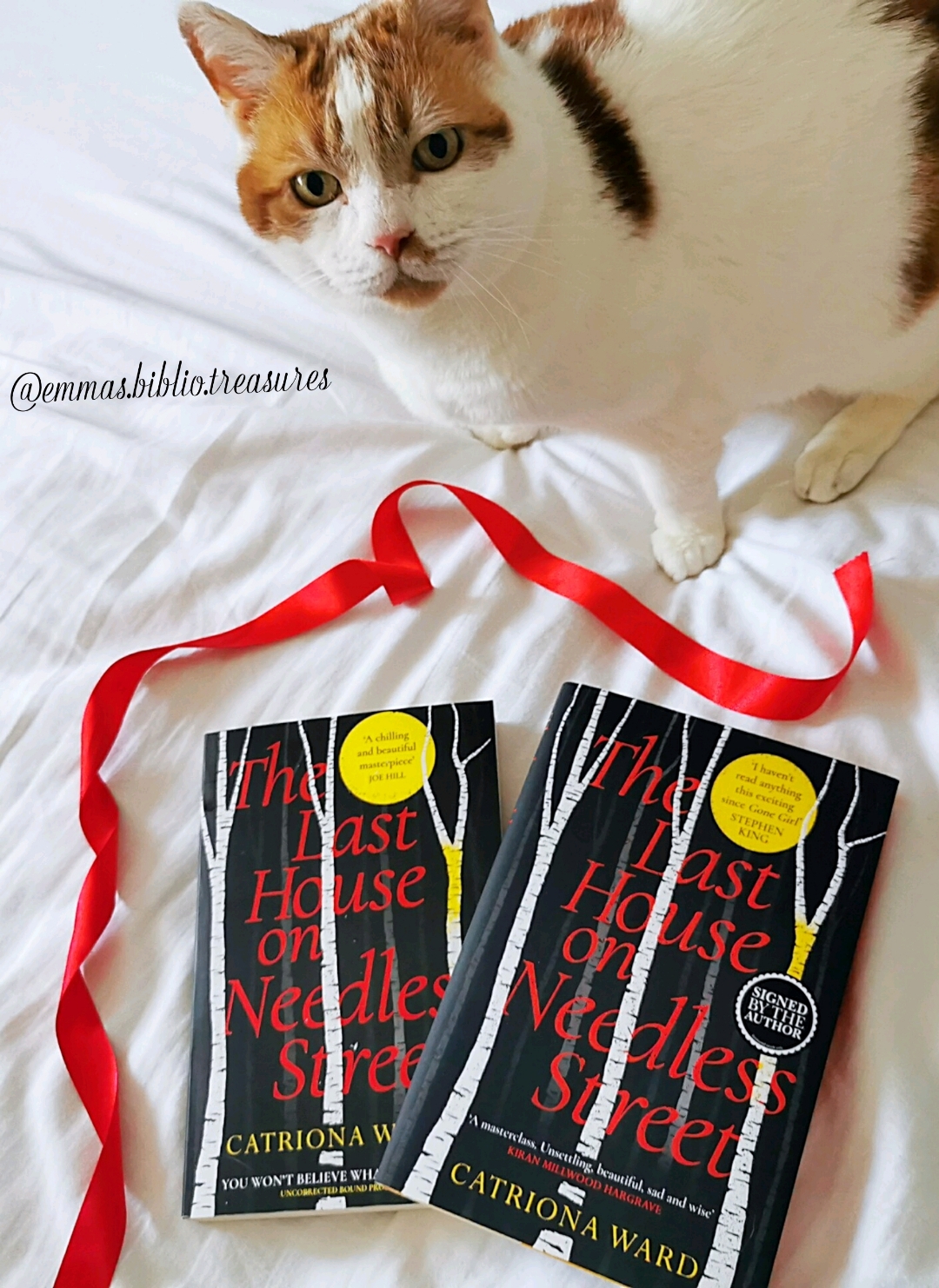 Review: The Last House on Needless Street by Catriona Ward – Emma's ...